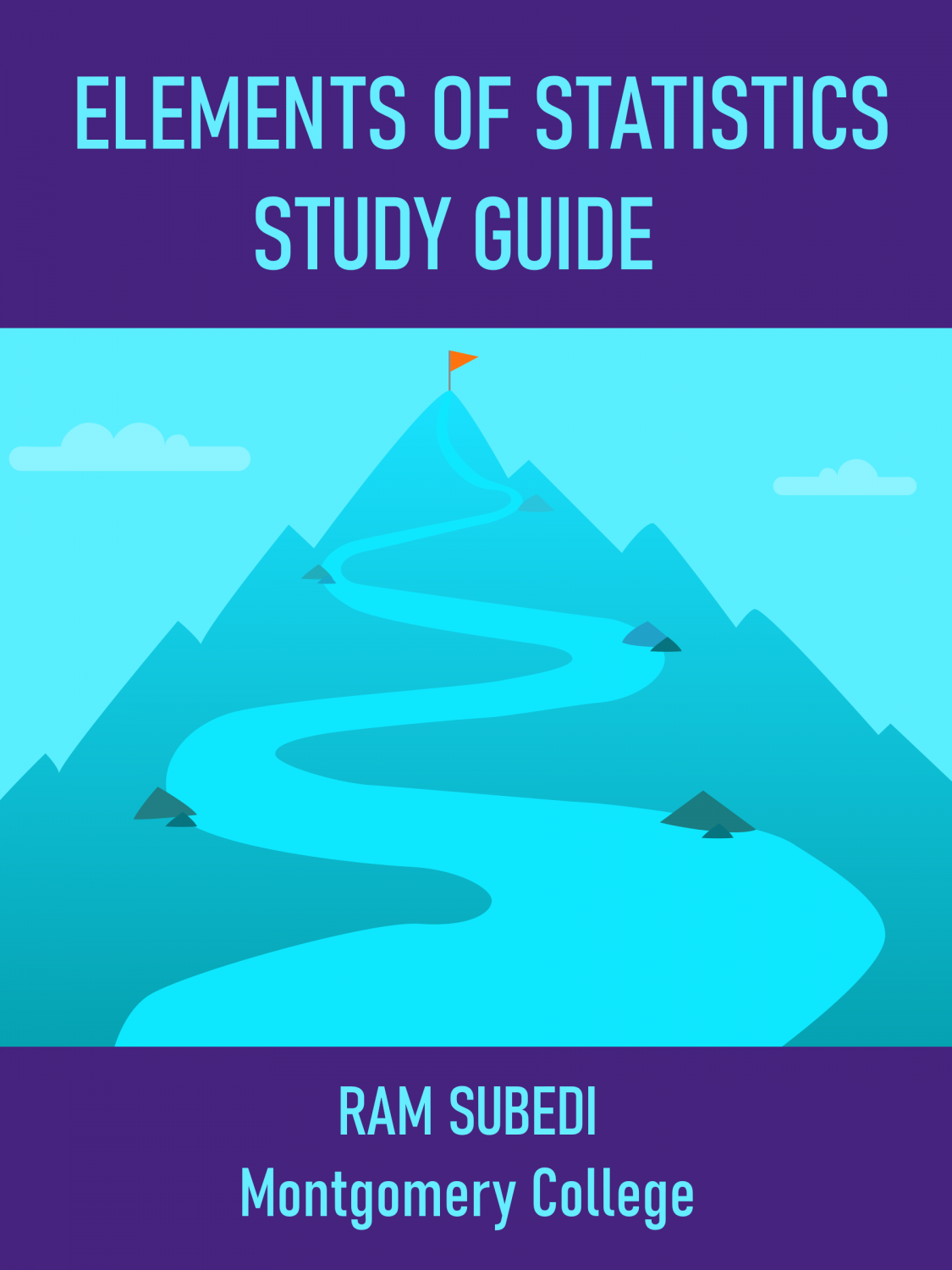 Statistics Study Guide Simple Book Publishing