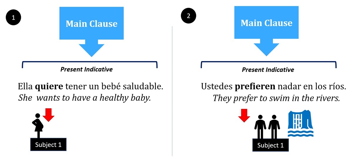 Use of the Present Subjunctive with verbs and expressions of will and ...